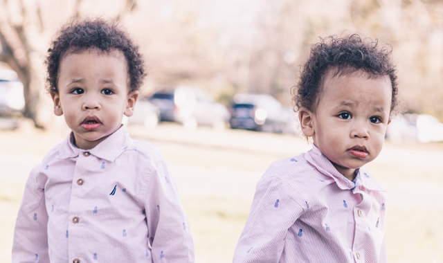 Overview Of Identical Twins